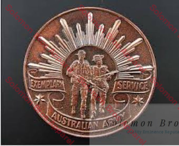 Soldiers Badge for Exemplary Service | Solomon Brothers Apparel